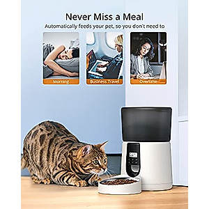 LLSS Automatic Cat Feeder, 4L Food Dispenser, Timed Feeder with Detachable Stainless Steel Bowl, Dry Dispenser for & Dog, Programmable Meal Portion, 1-4 Meals per Day, Auto Pet Black, White