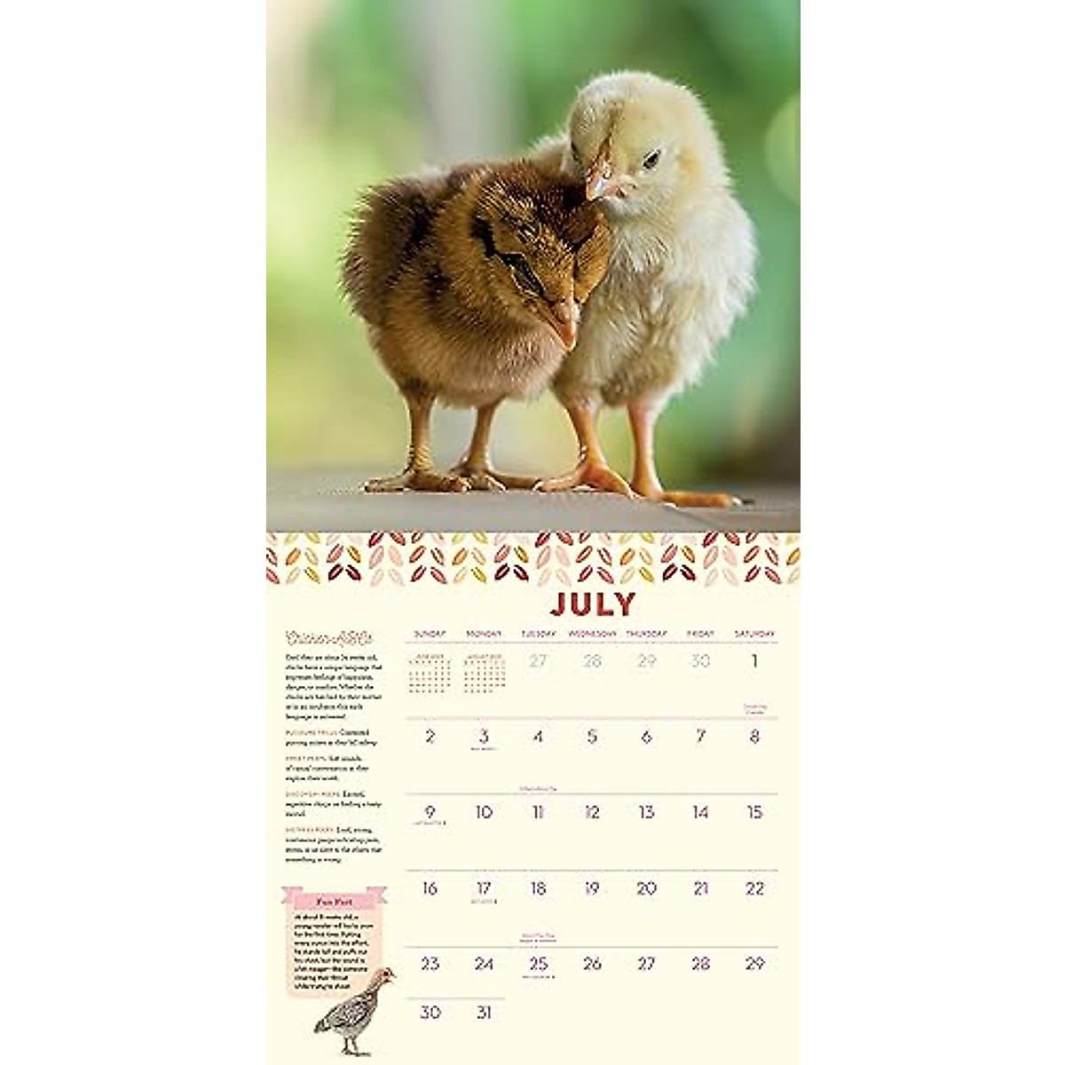 How to Speak Chicken Wall Calendar 2023: A Year of Chickens Doing What They Do & Saying What They Say