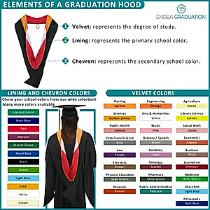 Endea Graduation Masters Hood for Education, Counseling & Guidance, Arts in Education College Degrees - Unisex (Light Blue/Navy Blue/Gold)