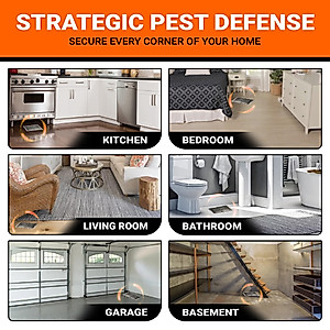 PESTQUEST 12 Pack Glue Mouse Traps Indoor for Home, Large Glue Traps for Mice and Rats, Pre-Baited Peanut Scent Sticky Rat Traps for Inside House, Snake, Lizard, Insect & Spiders, Pet & Family Safe