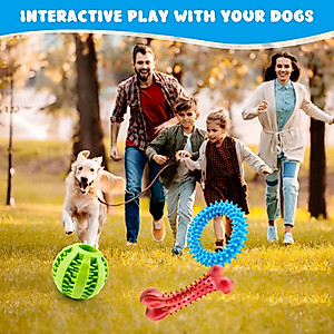 HHAINOVI Dog Chew Toys for Aggressive Chewers,Super Chewer Dog Toys for Medium Small Dogs,3 Pack Super Chewer Dog Toys with Tough, Heavy Duty Dog Teething Toys with Tough Nylon