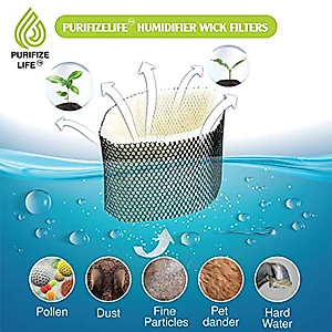 PURIFIZE LIFE Premium Replacement Wick Filter for Holmes Humidifier HWF62, HWF62S HWF62D Filter A and Other Sunbeam Cool Mist Models (3 Pack)