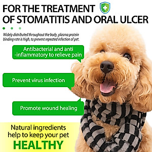 2 Pack Antibiotics for Dogs, Dog Antibiotics, Dog Supplies Antibiotics, Natural Dog Antibiotics Supports Dog Allergy and Itch Relief, Dog Multivitamin for Pets