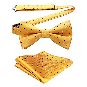 HISDERN Bow Tie for Men Yellow Bowties Polka Dot Pre-Tied Bowtie and Pocket Square Bow Ties Set Formal Tuxedo Handkerchief Bowties for Wedding Party