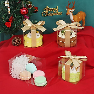 COTOPHER 60pcs Clear Macaron Boxes, 4"×4"×4" Clear Single Chocolate Covered Ore Cookies Boxes Clear Favor Boxes for Wedding Baby Shower