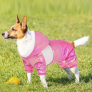 ASENKU Dog Puffer Coat, Reflective Dog Jacket Dog Winter Hoodie, Dog Clothes for Small Medium Dogs, Puppy Waterproof Outdoor Pajamas with D-Ring (Pink, XS)