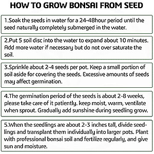 Meekear 5 Bonsai Tree Seeds with Complete Growing Kit & Wooden Flower Box Starter Kit, Great Potted Growing DIY Gift for Adults