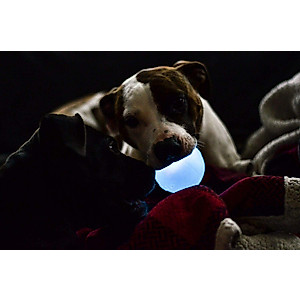Outward Hound by Planet Dog Strobe Ball Glo Light Up LED Ball Dog Toy