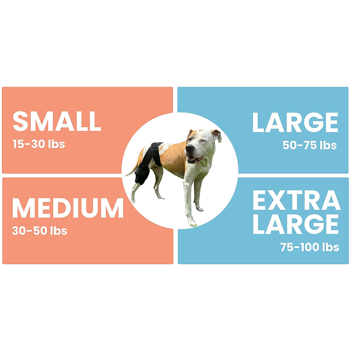 Labra Dog Canine K9 Hot Cold Ice Heat Therapy Knee Wrap for ACL MCL CCL Patella Injuries Sprain Strain Arthritis Senior Dog