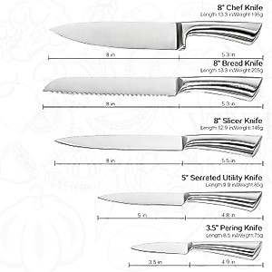 AMAHOUSMET Knife Set 5 Pieces, Professional Kitchen Knife Set with Box, Chef Knife Set, Japanese Stainless Steel, Includes Chef Knife, Bread Knife, Carving Knife, Utility Knife and Paring Knife