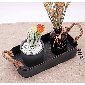 Funerom Rectangle Dark Galvanized Decorative Metal Serving Tray with Rust Finish and Rope Handles, (10.3X 5.5 in)