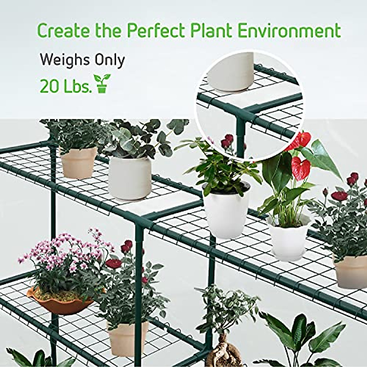 VIVOSUN 57x57x77-Inch Transparent Mini Walk-in Green House with Window and Anchor, Plant Garden Hot House 2 Tiers 8 Shelves, 4.7 x 4.7 x 6.4 FT