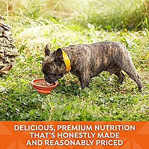 Nature's Recipe Wet Dog Food, Chicken, Rice & Barley Recipe Ground Formula, 13.2 Ounce Can (Pack of 12)