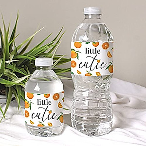 Little Cutie Baby Shower Water Bottle Labels, 24 Count