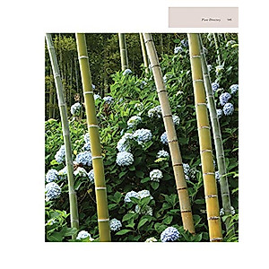 Authentic Japanese Gardens: Creating Japanese Design and Detail in the Western Garden (IMM Lifestyle Books) Traditional Elements, Layout, a Plant Directory of Trees, Shrubs, Bamboo, Flowers, and More
