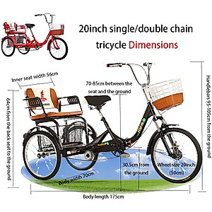 20 Inch Adult Tricycle, Cruiser Bikes Low Step-Through High Carbon Steel Frame, Three Wheel Bikes with Cargo Basket and Trunk for Seniors, Women, Men, (Color : Black)