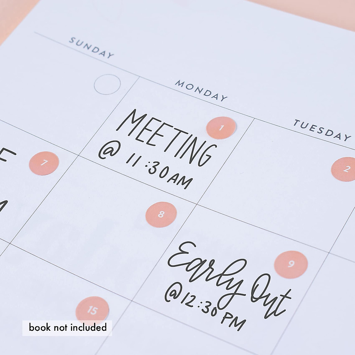 Erin Condren Designer Sticker Sheets - Colorful Date Dots Stickers - 12 Monthly Sticker Sheets, 432 Stickers Total. Decorative and Cute Stickers for Customizing Planners, Notebooks, and More