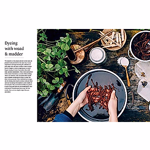 The Wild Dyer: A Maker's Guide to Natural Dyes with Projects to Create and Stitch