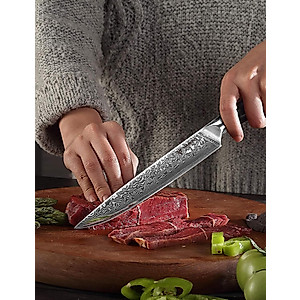 SANMUZUO Carving Knife - 9 inch Slicing Knife- Xuan Series - VG10 Damascus Steel Kitchen Meat Cutting Knife - Resin Handle (Starry Black)