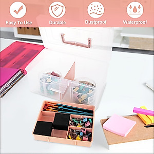2 Pack Small Portable Plastic Storage Box for Beauty Ornaments Hair Nail Accessories, 2 Layer Cosmetic Case with Handle & Removable Tray & a Divider, Sewing Box Organizer, Art Box (Clear & Pink)