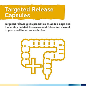 Terranics Probiotics 60 Billion CFU, 20 Strains, 60 Veg Capsules, Prebiotics & Probiotics, Shelf Stable Probiotic Supplement for Men & Women, Digestive & Immune Health, Non-GMO, NO Soy, Dairy & Gluten