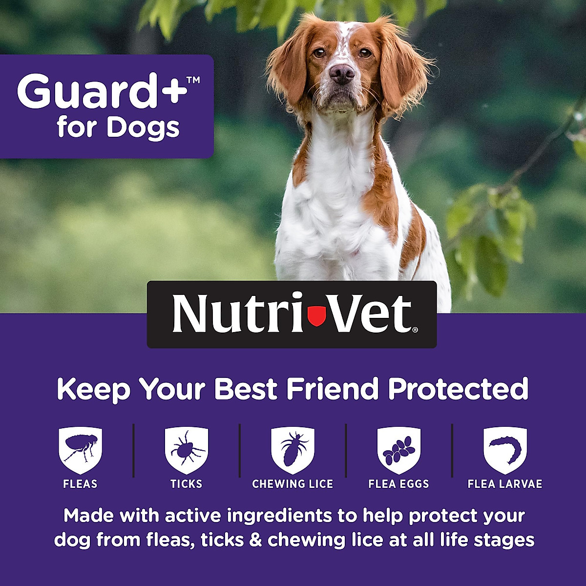 Nutri-Vet Guard+ for Dogs - Flea & Tick Prevention Treatment for Medium Dogs 23-44 lbs. - Waterproof Topical- 90 Days of Protection - 3 Monthly Doses