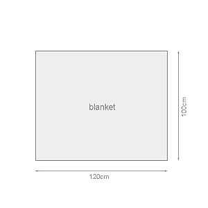 Light Gray Personalized Bridesmaid Embroidered Soft Thick Flannel Lamb Cashmere Throw Blanket 100x120