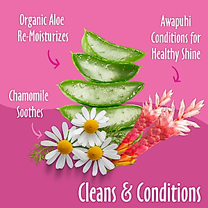 earthbath, Ultra-Mild Wild Cherry Puppy Wipes - Dog Wipes for Paws and Butt, Best Pet Wipes for Dogs & Puppies, Made in USA, Cruelty-Free Dog Cleaning Wipes - 100 Count (1 Pack)