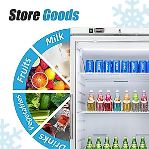 BLUELINETECH Display Refrigerator 18.6Cu.ft, 33-45℉, White, for Food and Beverage Refrigeration, for Commercial Kitchen, Home, Canteen, Restaurant