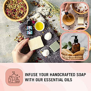 Cookies & Cakes - Gift Set of 6 Premium Fragrance Oils - Caramel Nut Muffin, Oatmeal Cookie Dough, Malibu Rum Cupcakes, Maple Pecan, Snickerdoodle and Cinnabon - 10ML