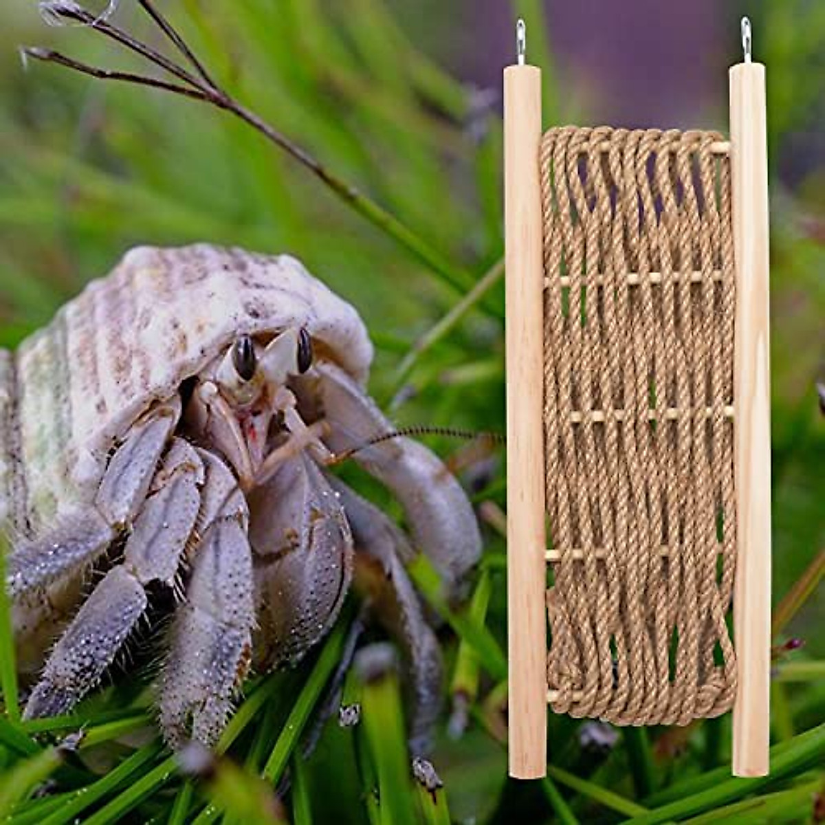 Hermit Crabs Climbing Ladder Bridge, Rope and Wood Reptile Climbing Toy, Small Animals Cage Accessory, Suitable for Lizard Chameleon Hermit Crab Hamster Chinchilla Guinea Pig