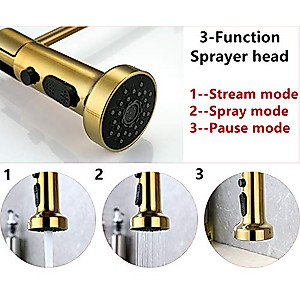 Ntipox Commercial Brushed Gold Kitchen Faucet with Pull Down Sprayer, High-Arc Single Handle Single Lever Spring Rv Kitchen Sink Faucet with Pull Out Sprayer, 3 Function Laundry Faucet, Matte Gold