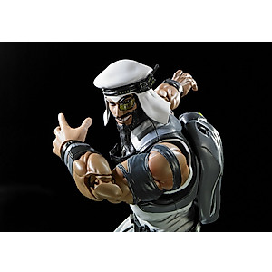 TAMASHII NATIONS Bandai S.H.Figuarts Rashid Street Fighter V Action Figure