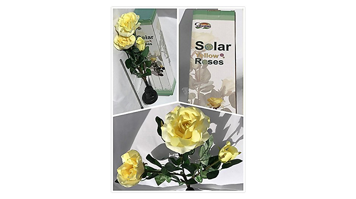 Solaration 1039-Y Waterproof Garden Path Lights - Solar Roses