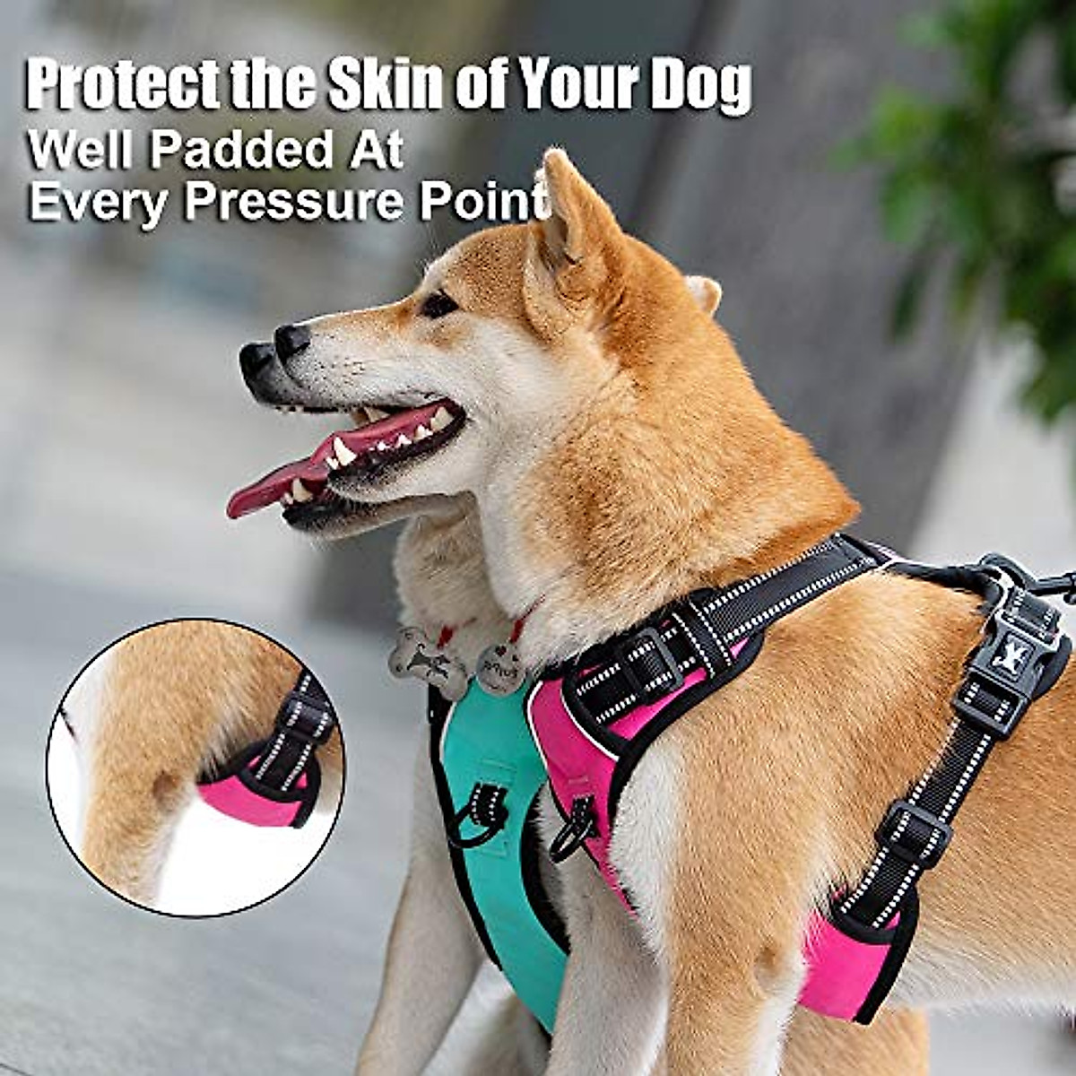 PoyPet No Pull Dog Harness, Reflective Comfortable Vest Harness with Front & Back 2 Leash Attachments and Easy Control Handle Adjustable Soft Padded Pet Vest for Small to Large Dogs (Mint Blue,M)