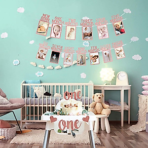 Rose Gold 1st Birthday Baby Photo Banner for Newborn to 12 Months And Alphabet ONE Bunting, Alphabet ONE Cake Topper for Baby Show First Birthday Party Decoration