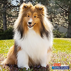 Hartz UltraGuard Flea & Tick Dog Spray, 032700106232 16 Fl Oz