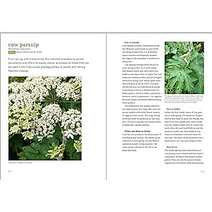 Midwest Foraging: 115 Wild and Flavorful Edibles from Burdock to Wild Peach (Regional Foraging Series)