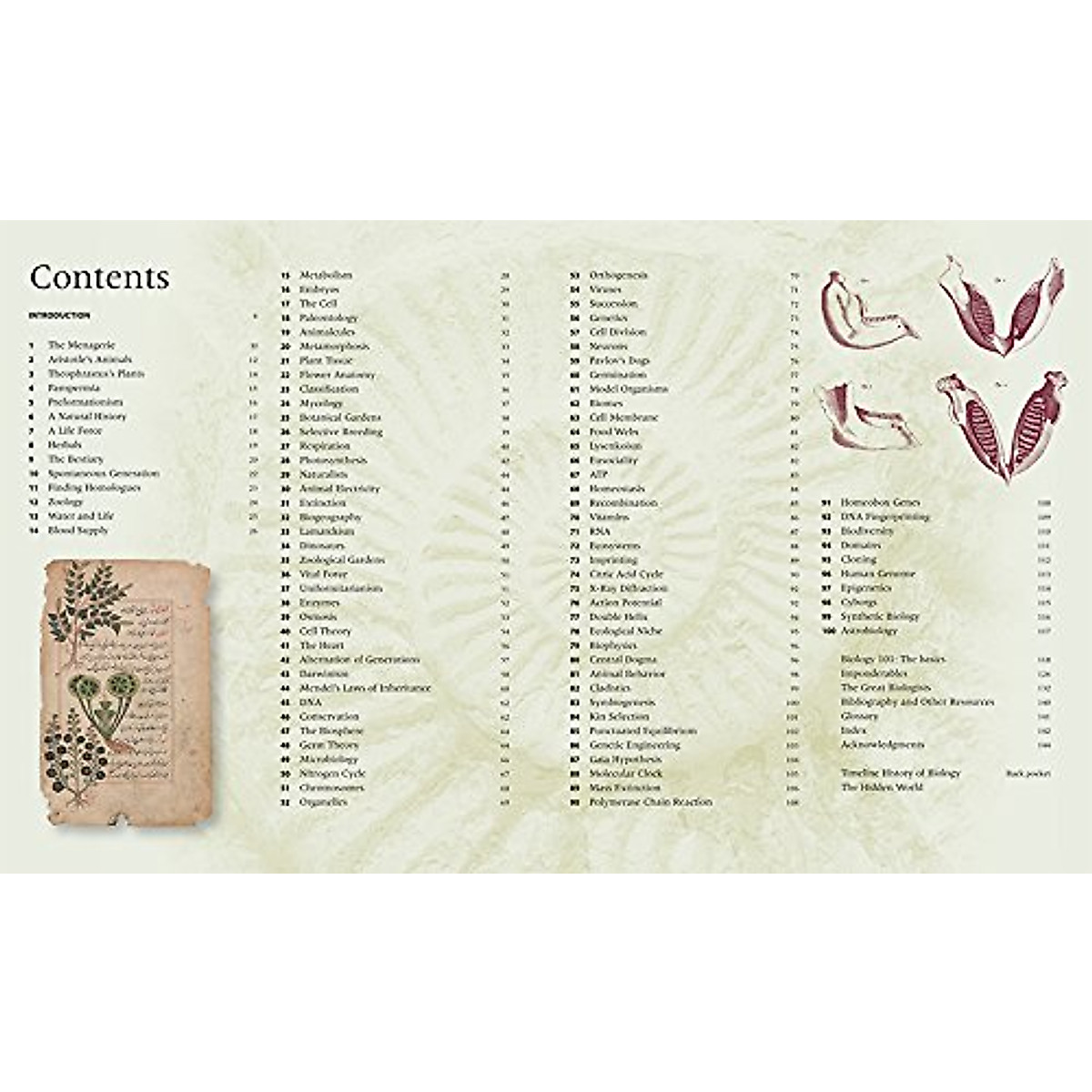 Biology: An Illustrated History of Life Science (100 Ponderables)