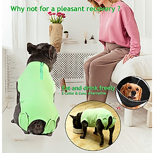 Wabdhaly Dog Surgery Recovery Suit for Female Spay,Puppy Surgical Recovery Zip Up Suit,Anti-Licking Bodysuit for Abdominal Wounds,Cone Alternative Recovery Blank Suit for Dogs