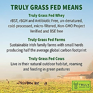 Garden of Life Sport Whey Protein Powder Chocolate, Premium Grass Fed Whey Protein Isolate Plus Probiotics for Immune System Health, 24g Protein, Non GMO, Gluten Free, Cold Processed - 20 Servings