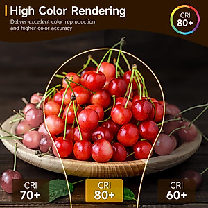 UNILAMP Super Bright White LED Light Bulbs, 23W A21 LED Light Bulbs, 150 Watt - 200 Watt Equivalent, Daylight White 5000K, 2500LM, Non-dimmable, E26 Base for Home Office Porch, 4 Pack