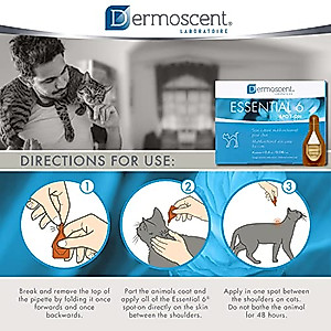 Essential 6 spot-on for Cats - Skin Care for Dandruff Dry or Oily Skin & Hair Loss - Natural Essential Oils & Fatty Acids - Healthy Skin & Coat - 4 Pipettes of 0.6 ml / 0.08 fl. oz