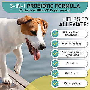Probiotic Chews for Dogs, Support Digestive Health, Dog Probiotics and Digestive Enzymes, Dog Probiotic Chews, Probiotic Dogs, Puppy Probiotic, Pet Probiotics for Dogs - 120 Soft Chews