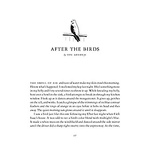 McSweeney's Issue 56 (McSweeney's Quarterly Concern)