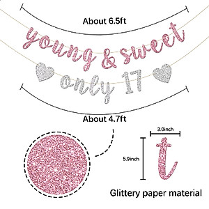 INNORU Young & Sweet Only 17 Banner - Happy 17th Birthday Party Decor for Girls - Cheers to 17 Years Party Decorations Supplies, Pink & Silver Glitter