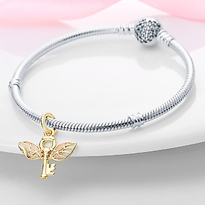 HappyStar 925 Sterling Silver Charms for Pandora Charms Bracelets and Necklaces Beads Charms Jewelry Mother's Day Gift for Women （With one Spacer Bead Charms