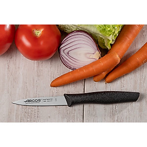 ARCOS Paring Knife 3 Inch Stainless Steel. Professional Kitchen Knife for Cut, Peel and Clean Food. Ergonomic Polyoxymethylene Handle and 85mm Blade. Series Nova. Color Black