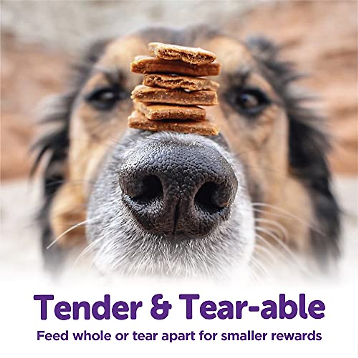 Wellness Rewarding Life Grain-Free Soft Dog Treats (Previously Wellbites), Made in USA with Natural Ingredients, Ideal for Training (Chicken & Venison Recipe, 6-Ounce Bag)