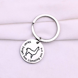 Llama Keychain Never Forget How Llamazing You are Keychain Alpaca jewelry Animal Lover Gift (Llama Keychain)
